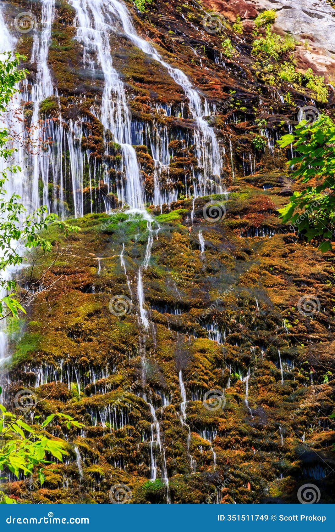 A Waterfall with a Lot of Moss Growing on it Stock Image - Image of ...
