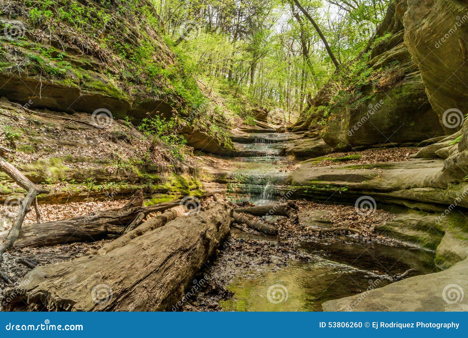 The Waterfall in the Lower Dells. Stock Photo - Image of natural ...