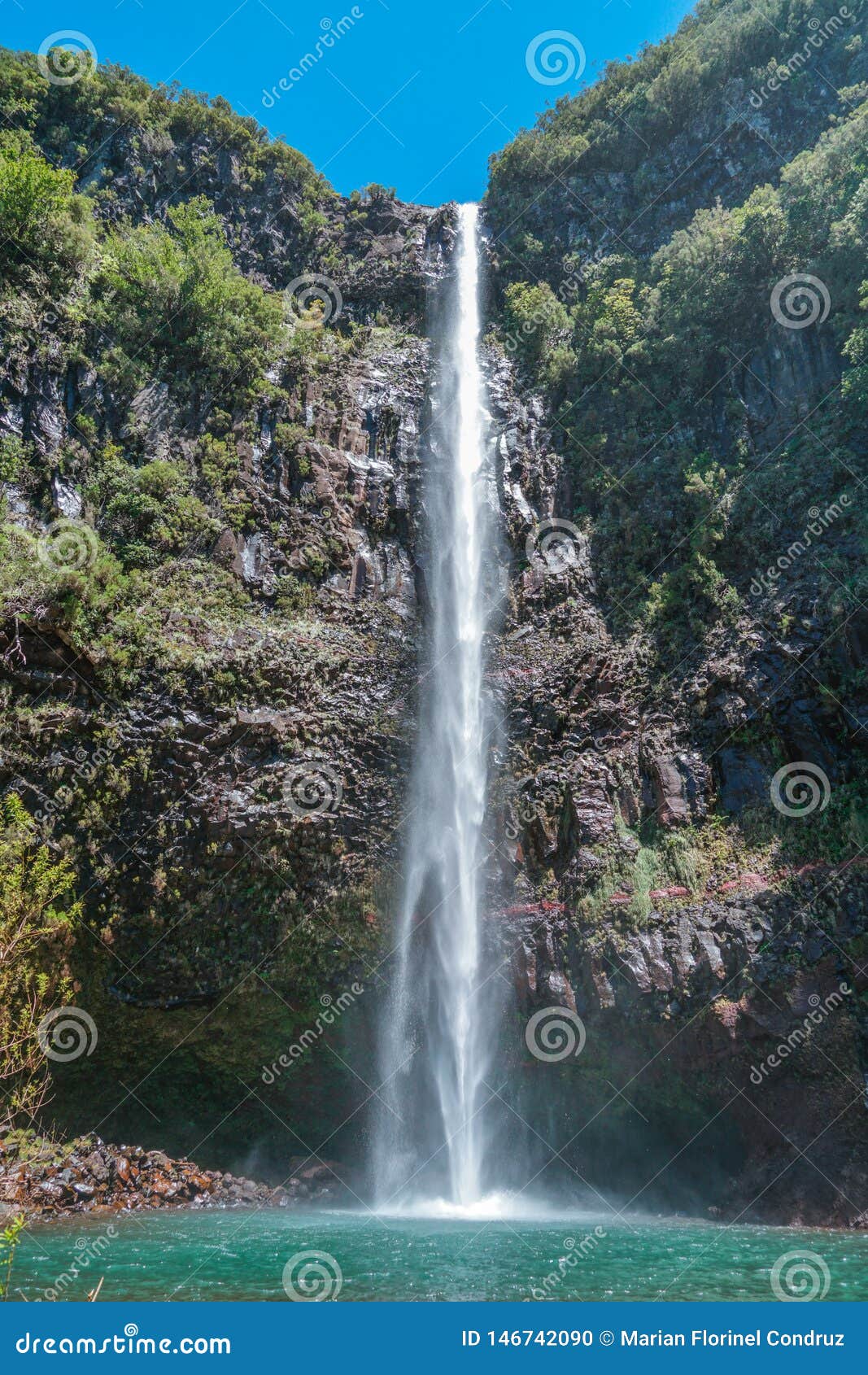 Waterfall in Madeira in Summer Stock Photo - Image of tree, green ...