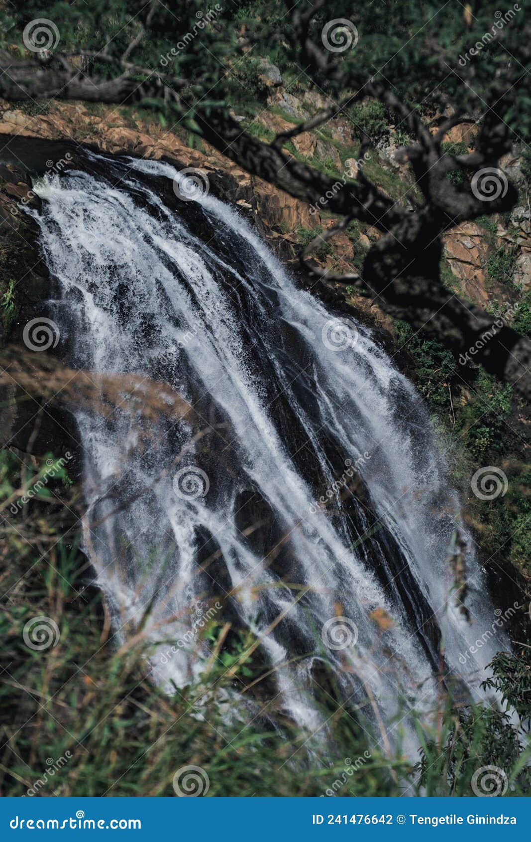 Waterfall at Malolotja stock photo. Image of waterfall - 241476642