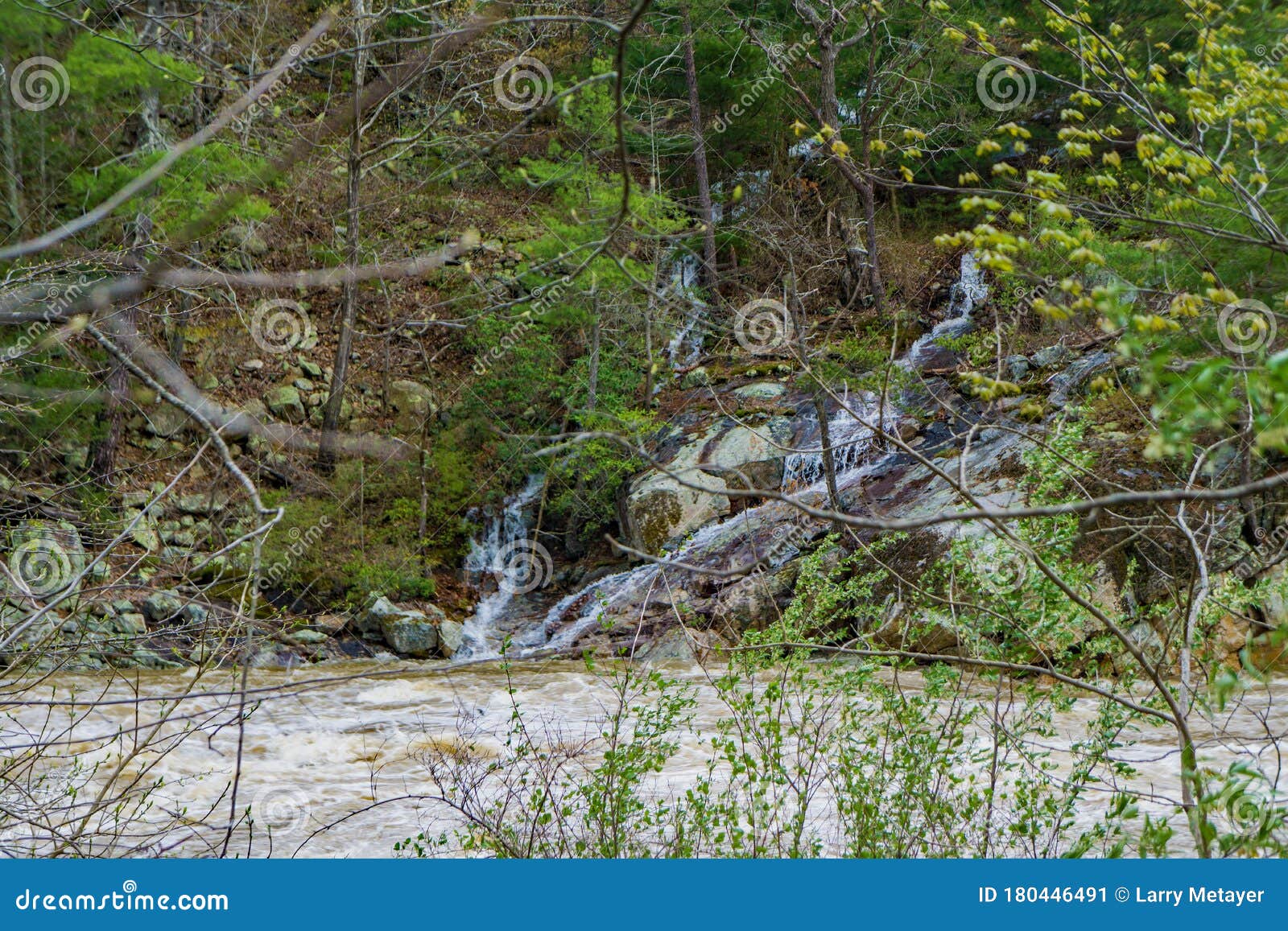 Maury River At Flood Stage Flooding Low Lying Areas Stock Image ... Maury River At Flood Stage Flooding Low Lying Areas Stock Image ...