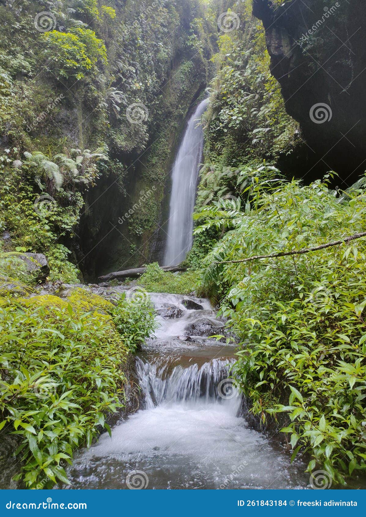 Waterfall in the Middle of the Cuban Manan Batu Forest Stock Photo ...