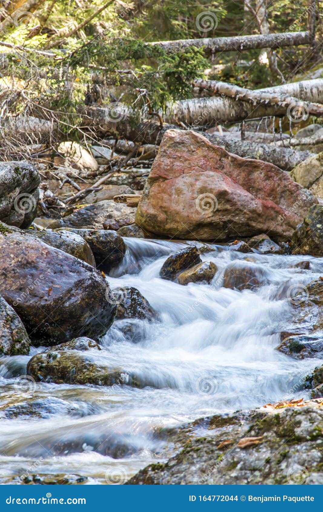 Waterfall in the Middle of the Forest Stock Photo - Image of rocks ...