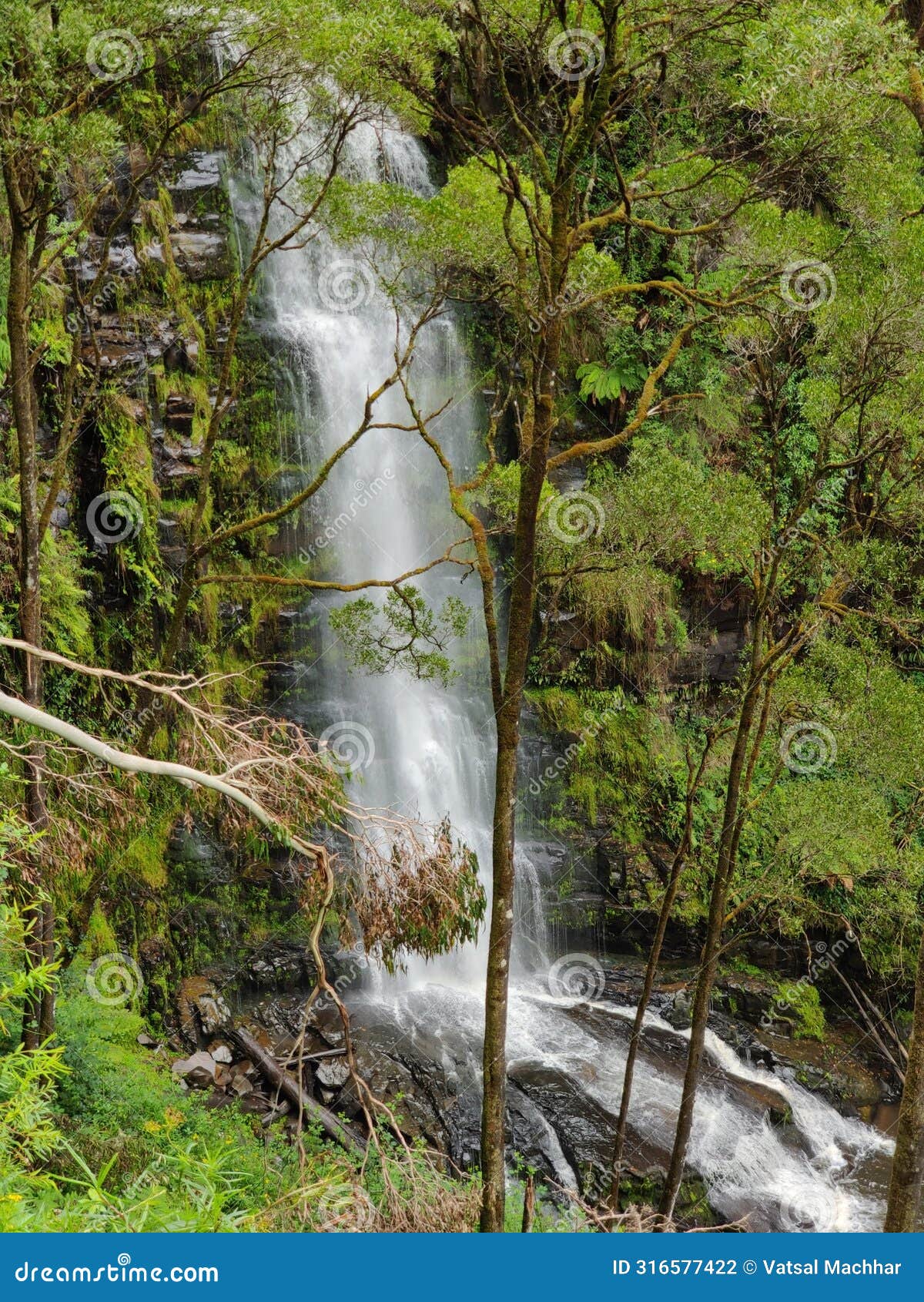 Waterfall in the Middle of a Forest. Scenic Views of a Waterfall from a ...