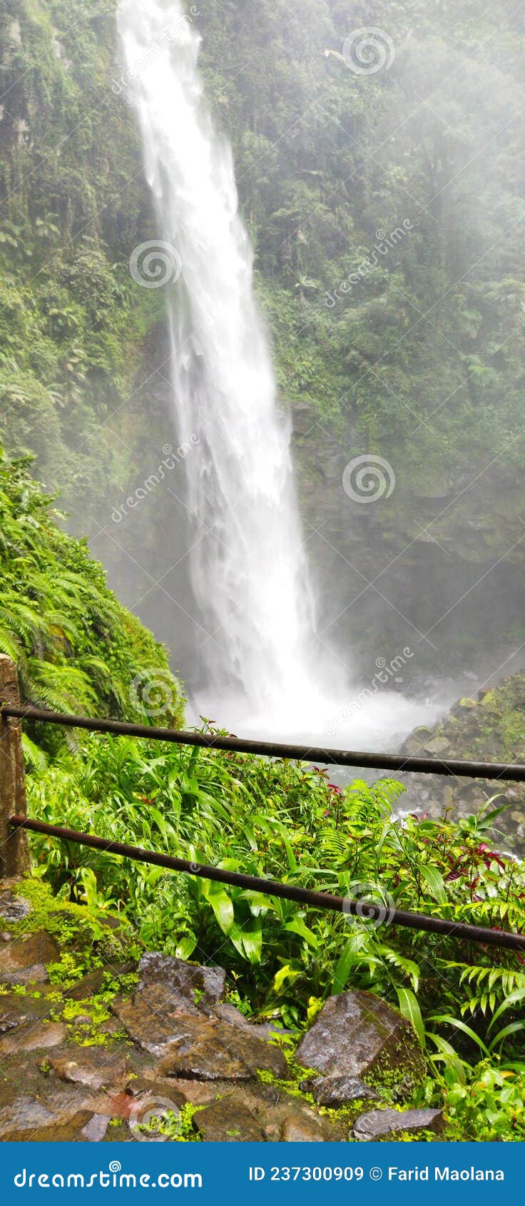 Waterfall in the Middle of the Forest Stock Image - Image of leaf ...