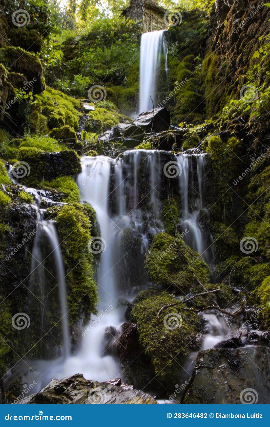 The Waterfall in the Middle of Nature Stock Photo - Image of ...
