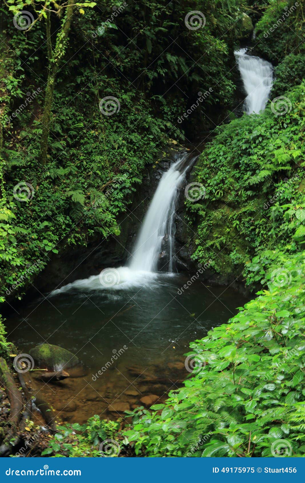 Waterfall in Monteverde Biological Reserve, Costa Rica Stock Image ...