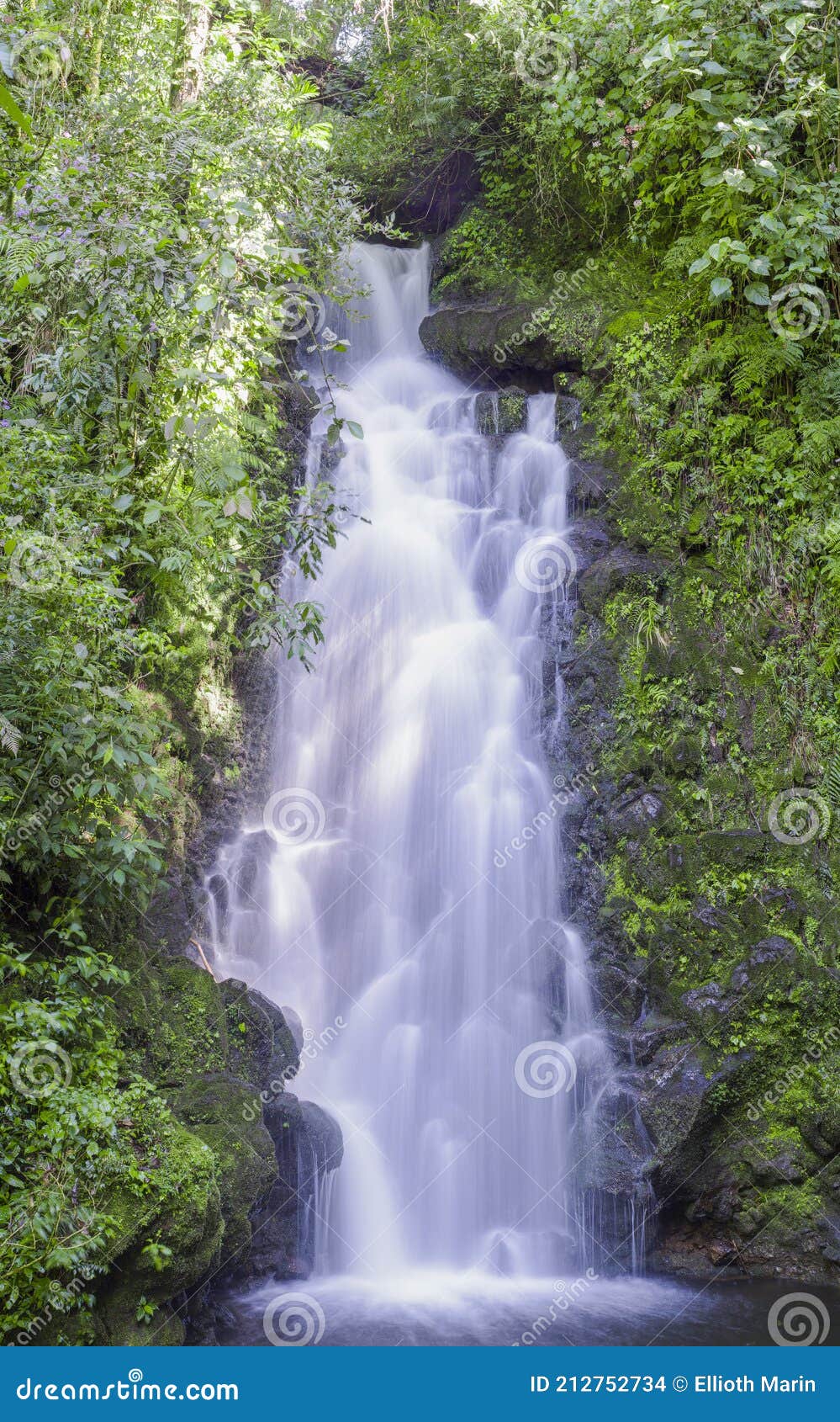Waterfall in the morning stock photo. Image of water - 212752734