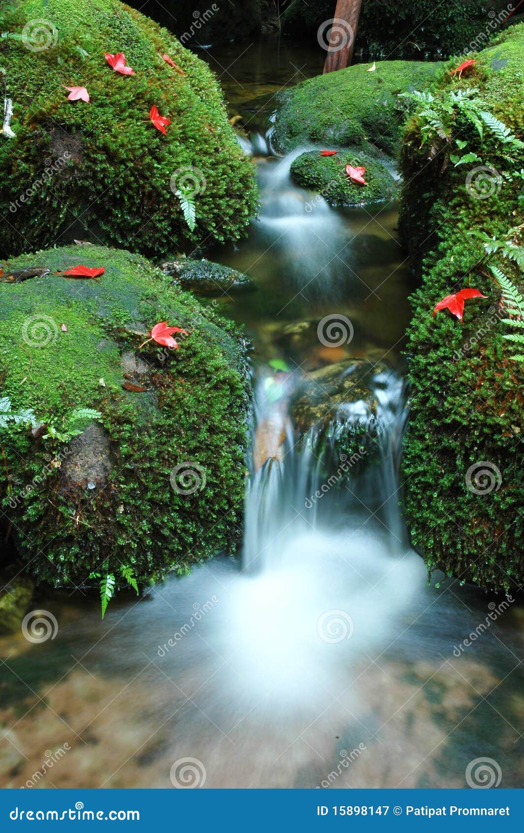 Waterfall moss stock image. Image of freshness, arts - 15898147