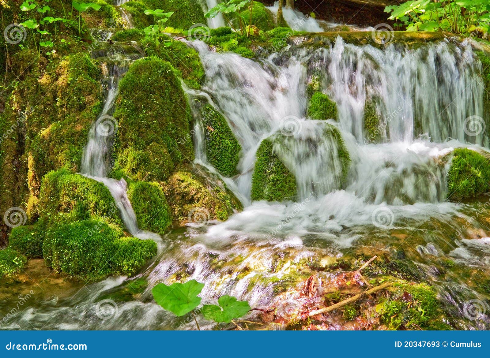 Waterfall and moss. stock image. Image of cascades, flow - 20347693