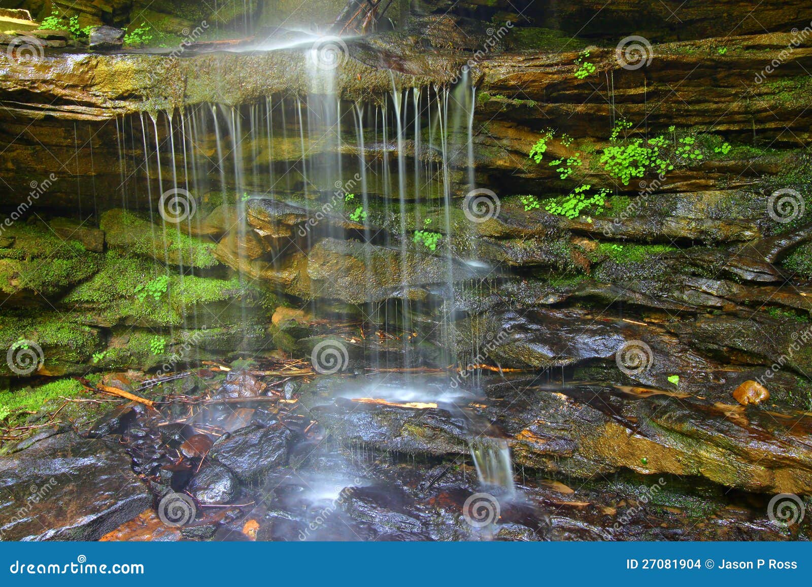 Waterfall and Moss stock photo. Image of clean, natural - 27081904