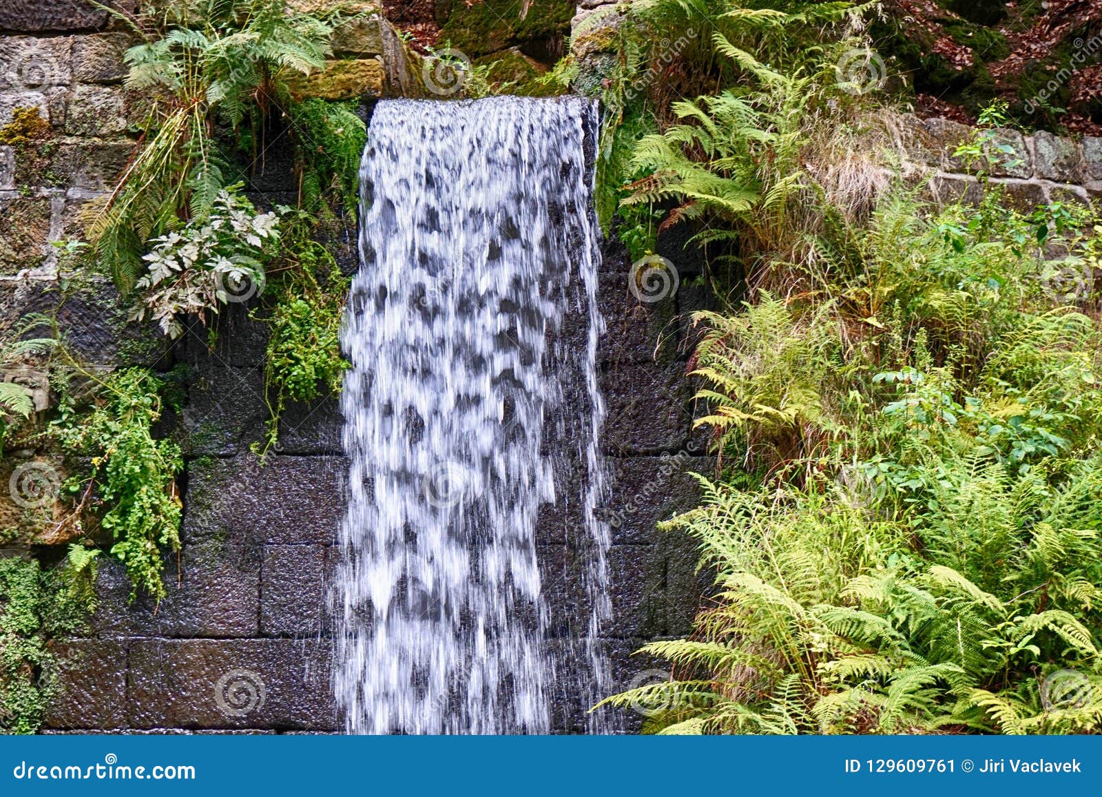 Waterfall in the moss stock image. Image of brook, beauty - 129609761