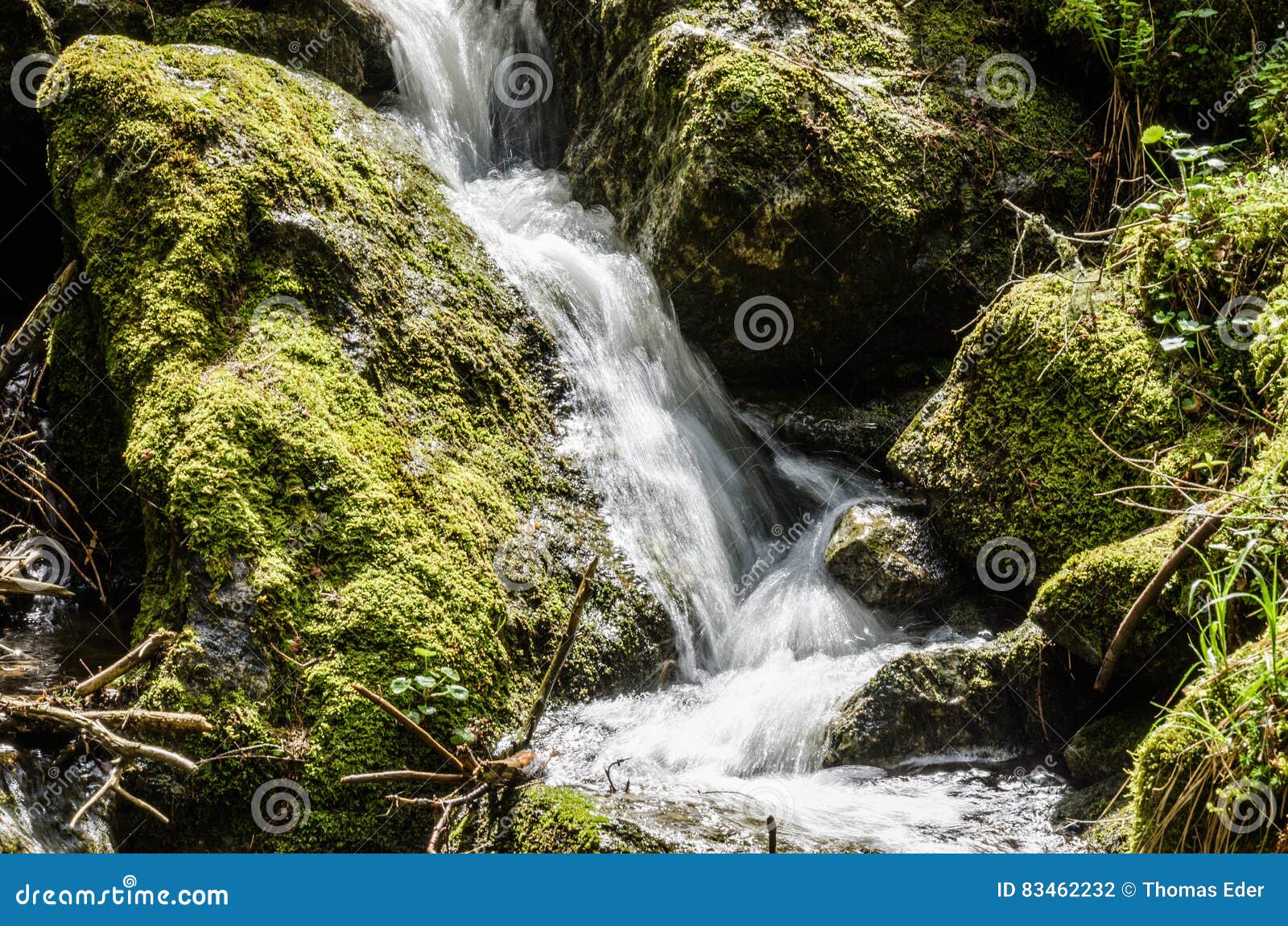 Waterfall and moss stock photo. Image of fall, tropical - 83462232