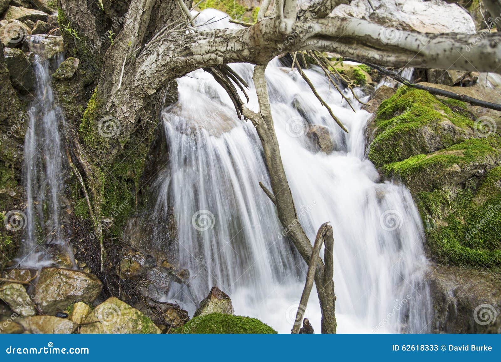 Waterfall Mossy Rocks Tree Snag Stock Image - Image of waterfall, river ...