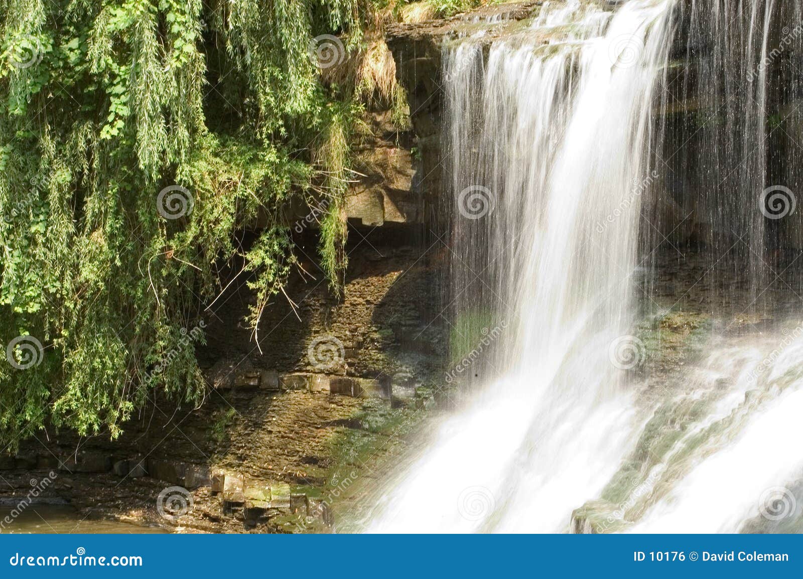 Waterfall, motion blurred stock photo. Image of tree, cascade - 10176