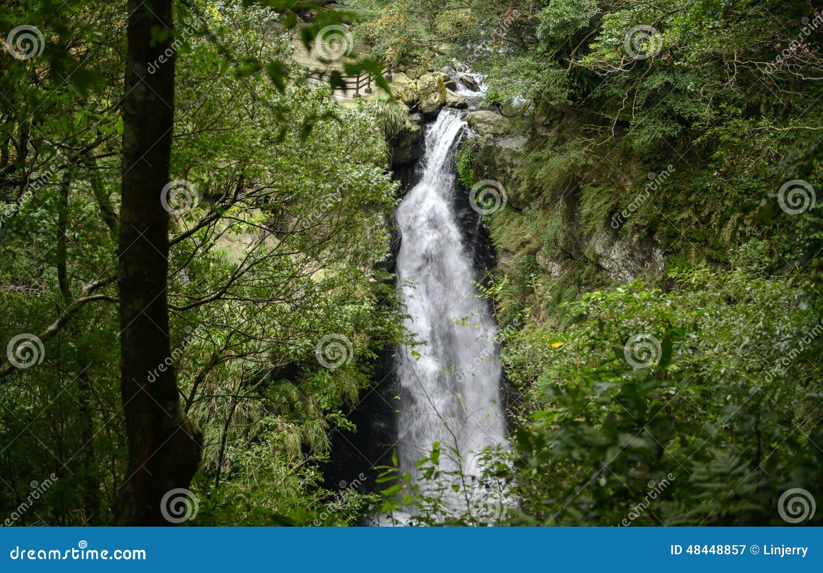 Waterfall in the mountain stock image. Image of landscape - 48448857