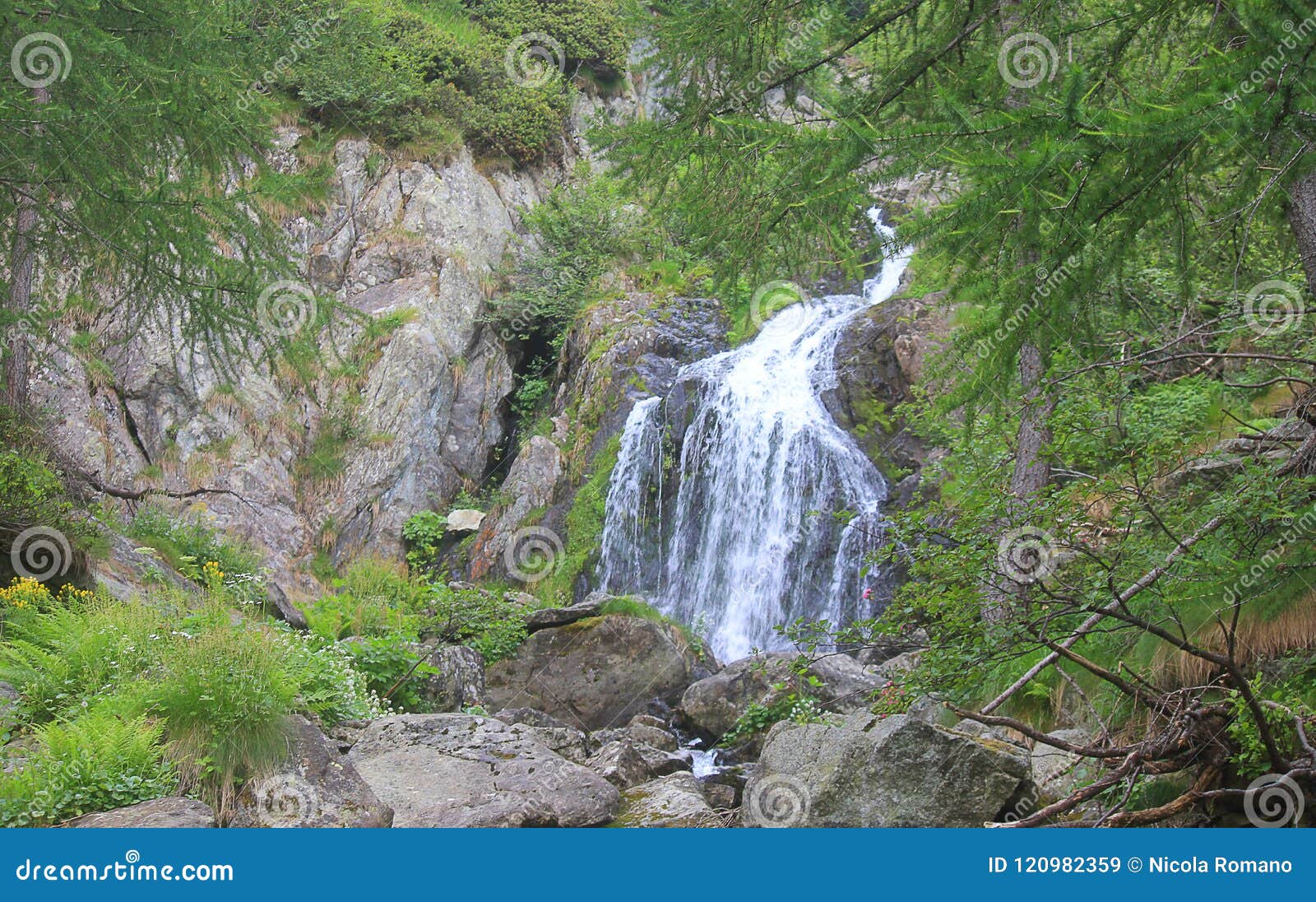 Waterfall in Mountain in the Forest Stock Image - Image of alpine ...