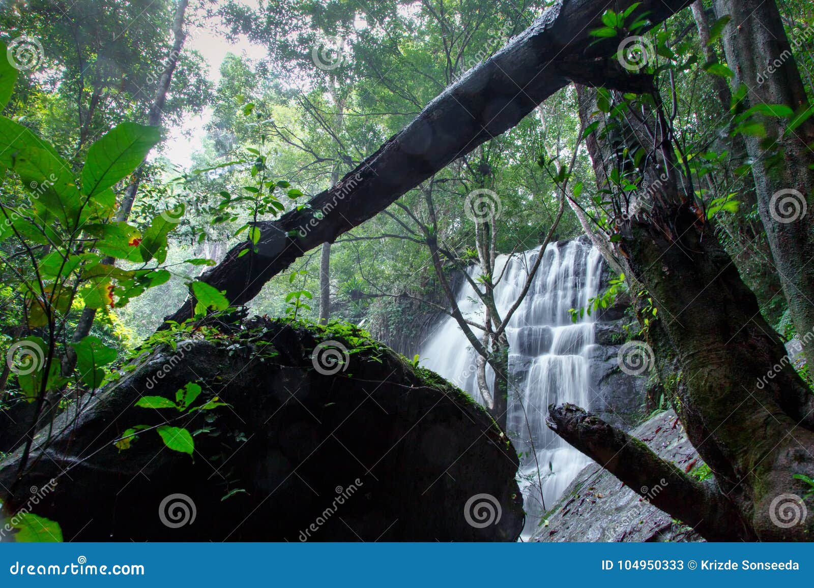Waterfall Mountain Landscape Select Focus with Fair Light, Waterfall in ...