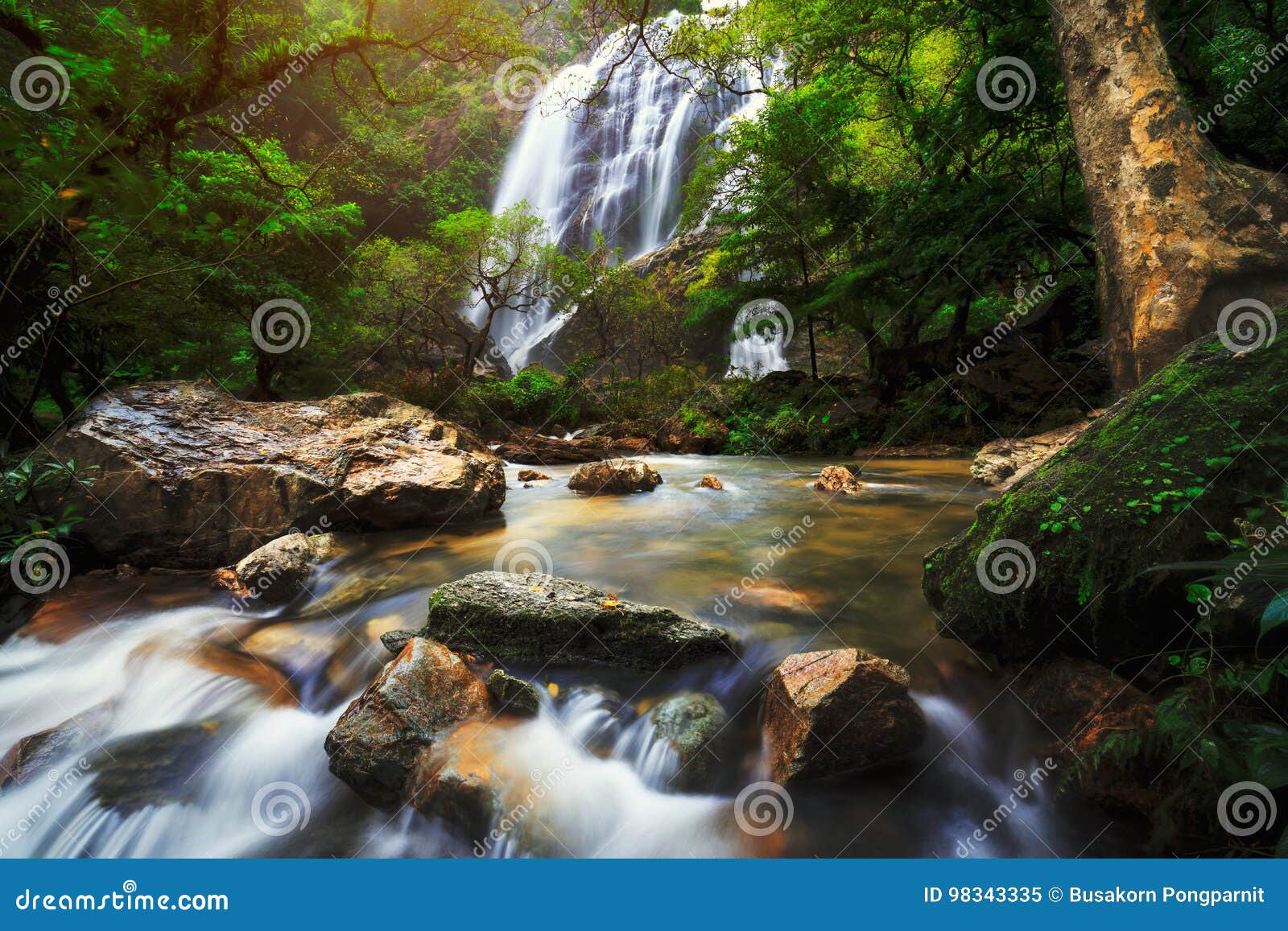 Waterfall Mountain Landscape Stock Image - Image of landscape, forest ...