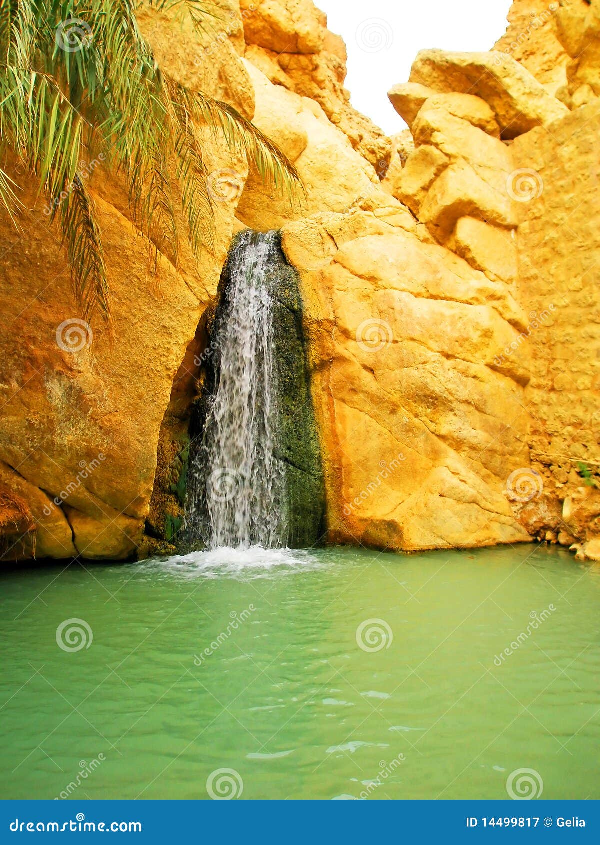 Waterfall in Mountain Oasis Chebika Stock Image - Image of ...