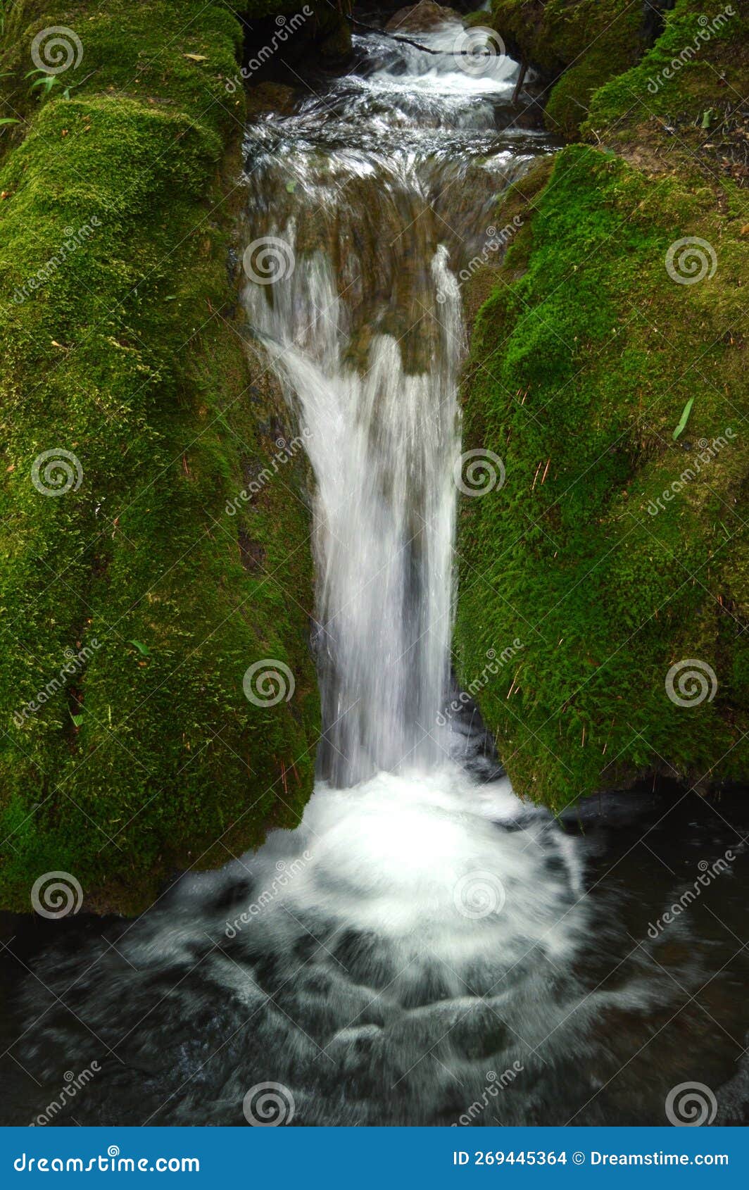 Waterfall on a Mountain River Stock Photo - Image of woodland, creek ...