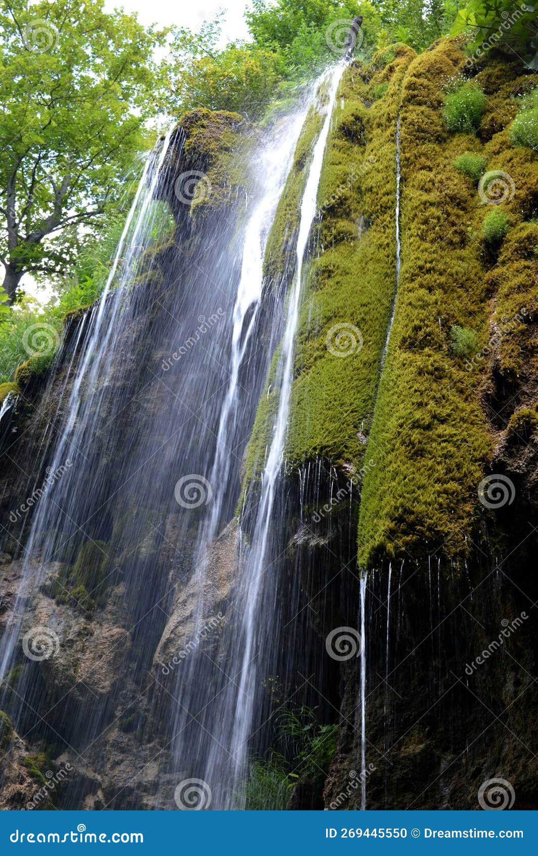 Waterfall on a Mountain River Stock Photo - Image of woodland, ravine ...