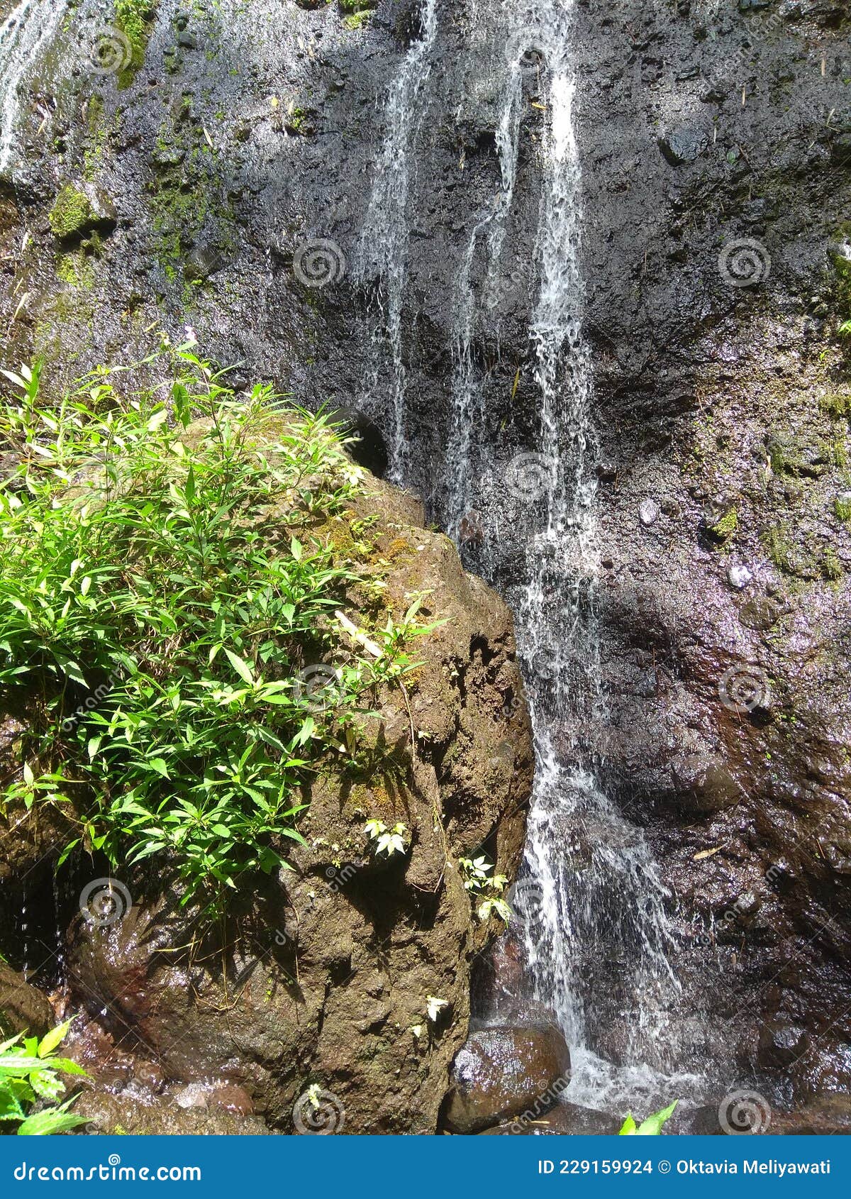 Waterfall on the Mountain Rocks Stock Photo - Image of jungle, nature ...