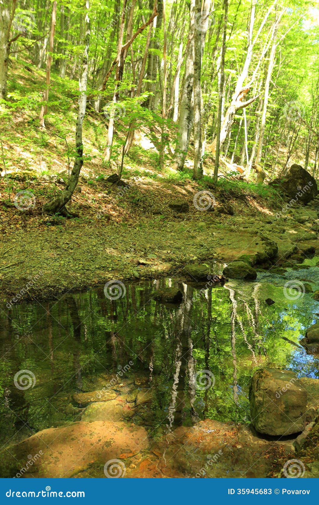 Waterfall, Mountain Stream. Black River. Crimea, Ukraine Stock Image ...