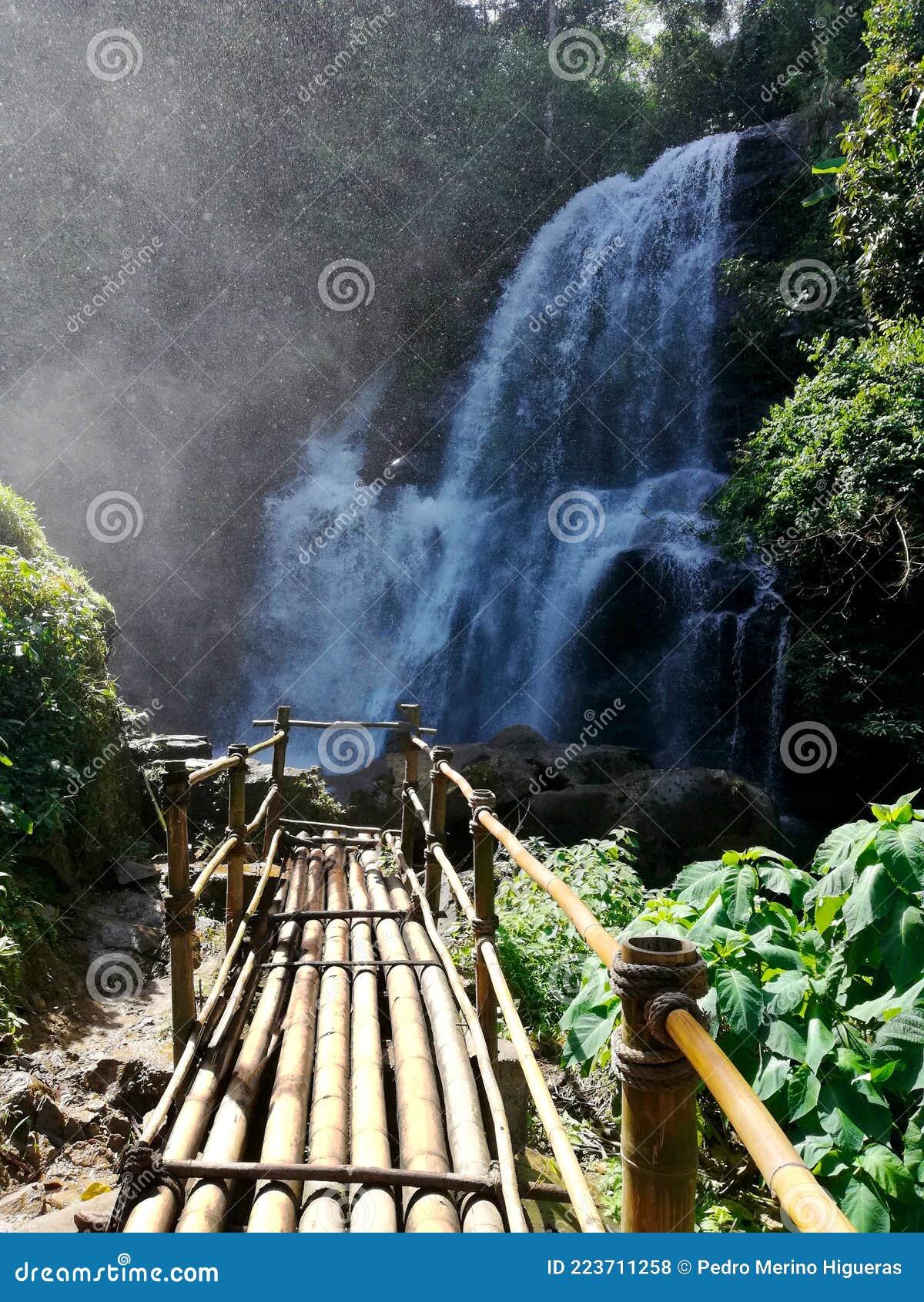 Waterfall in the Mountains of Doi Inthanon Stock Photo - Image of ...