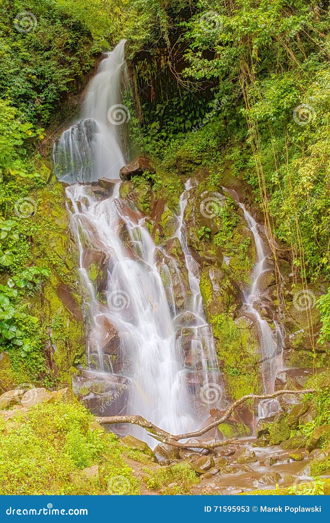 Waterfall in the Mountains of Panama Stock Image - Image of rocks ...