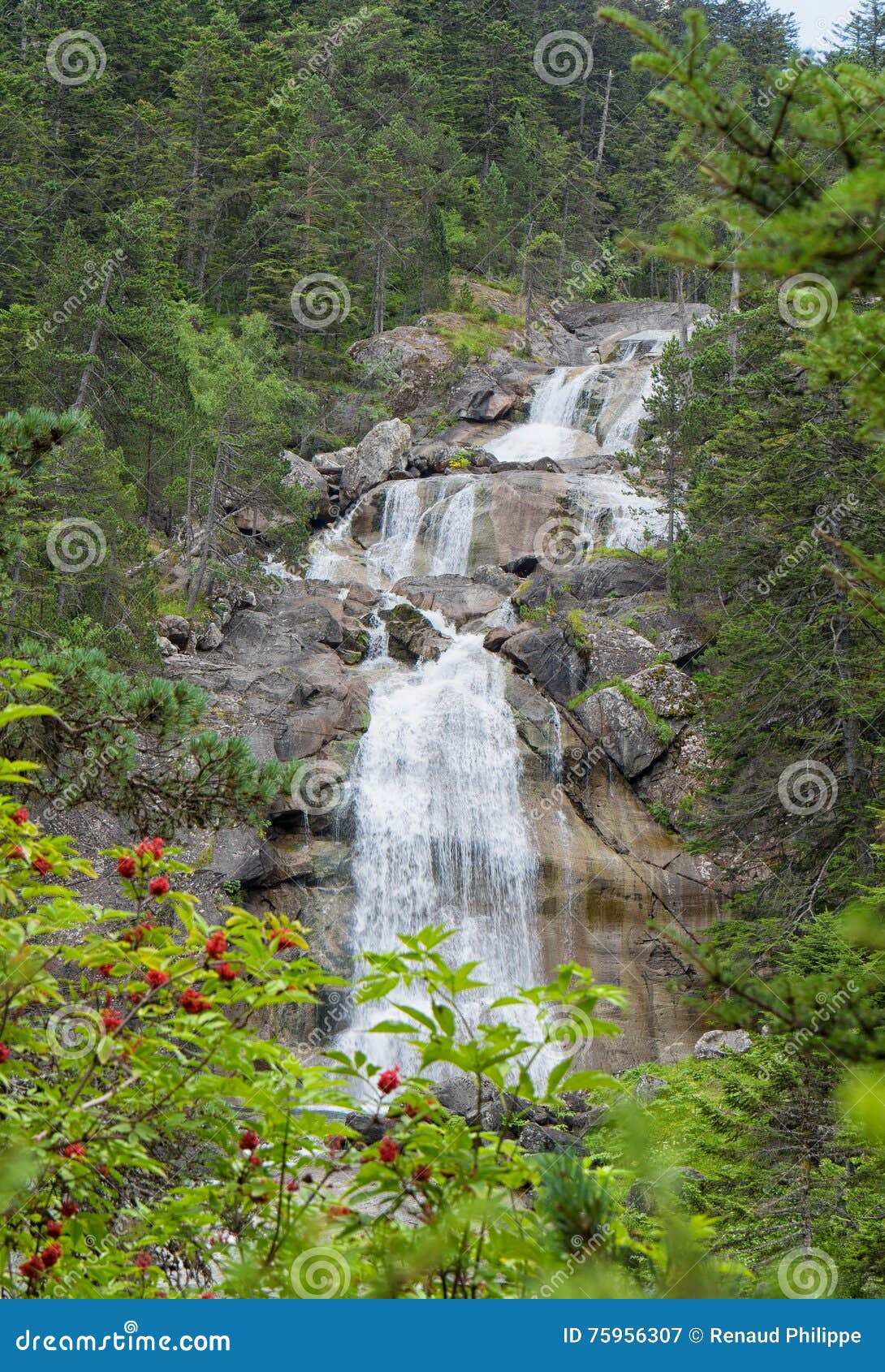 Waterfall in the Mountains of the Pyrenees Stock Image - Image of ...
