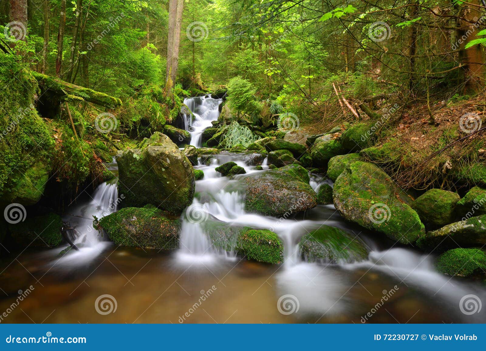 Waterfall in the National Park Sumava Stock Image - Image of cataract ...