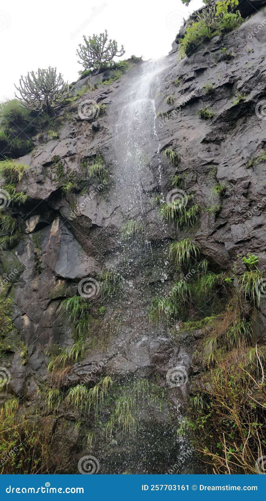 Waterfall nature at bhor stock image. Image of ridge - 257703161