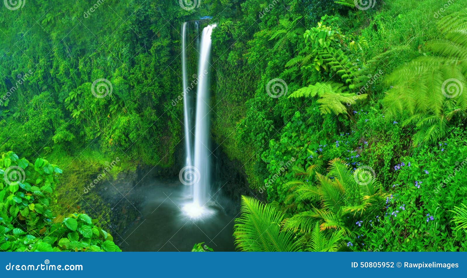 Waterfall Nature Fresh Green Moisture Concept Stock Photo - Image of ...