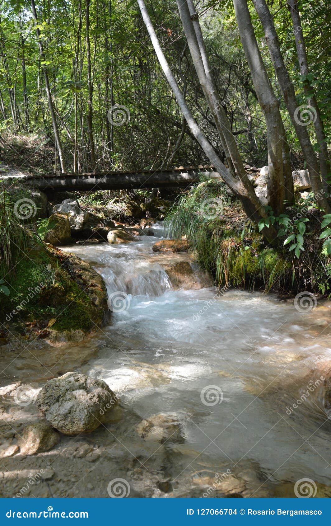 Waterfall Nature Rocks Water Stock Photo - Image of waterfall, park ...