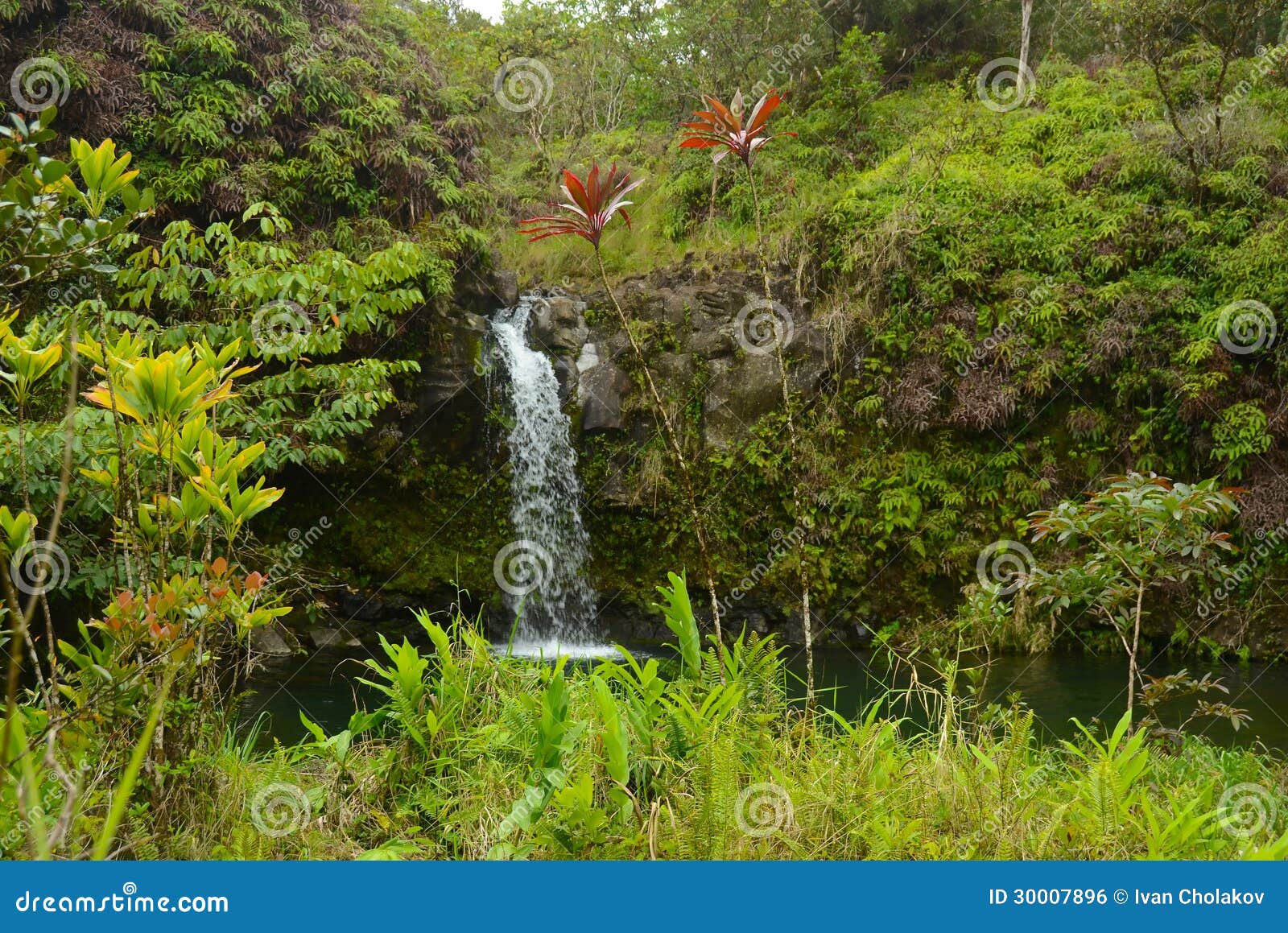 Exotic waterfall stock photo. Image of scenic, destination - 30007896