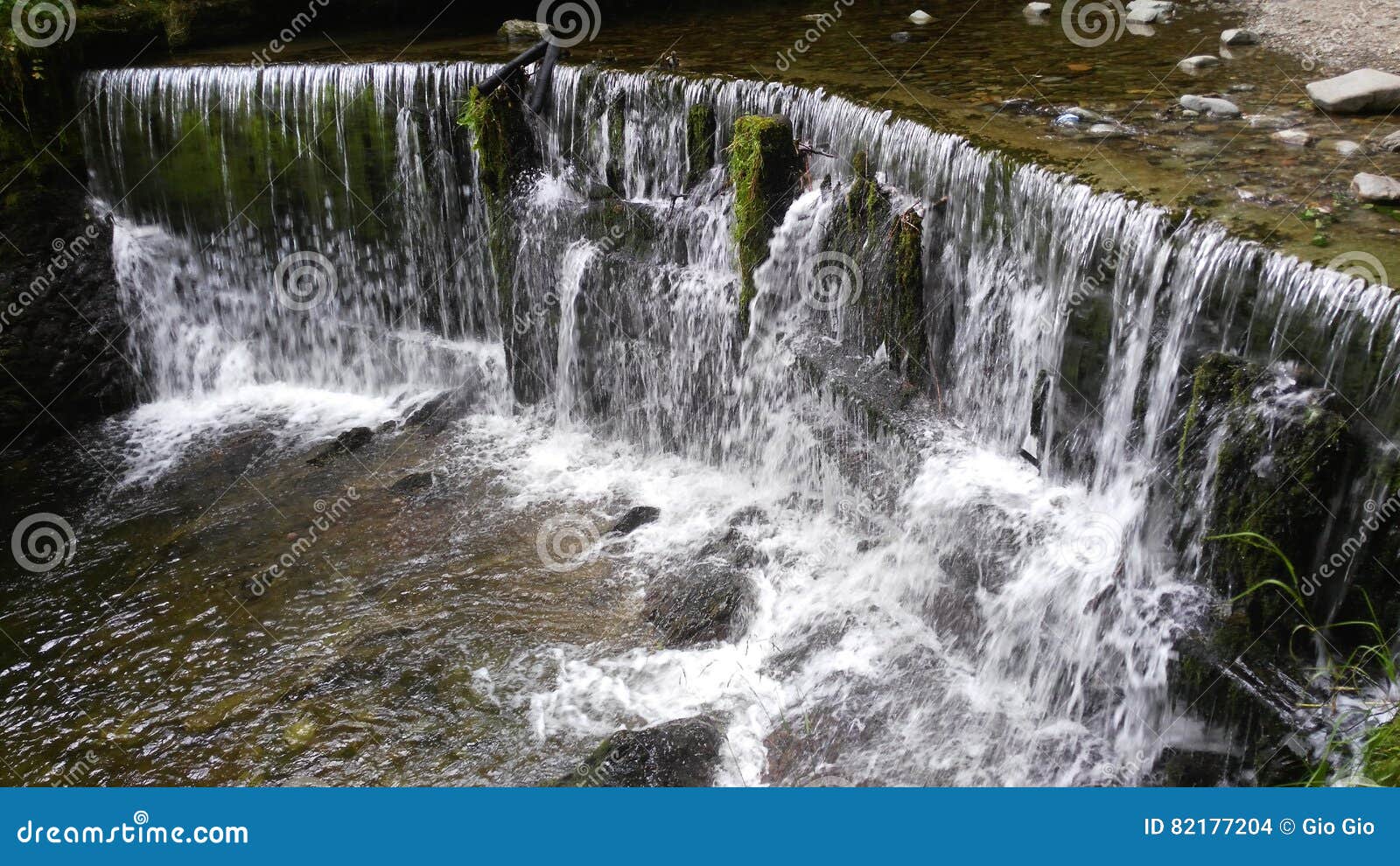 Waterfall Nature with Stones Stock Photo - Image of river, forest: 82177204