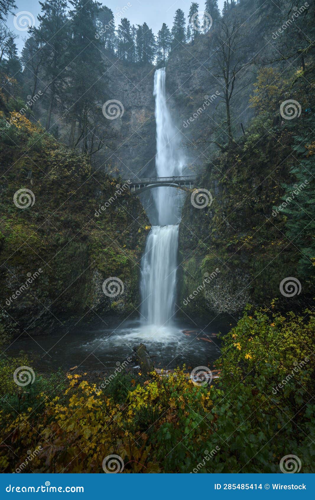 A Waterfall Near a Forest with a Bridge Going Over it Stock Photo ...