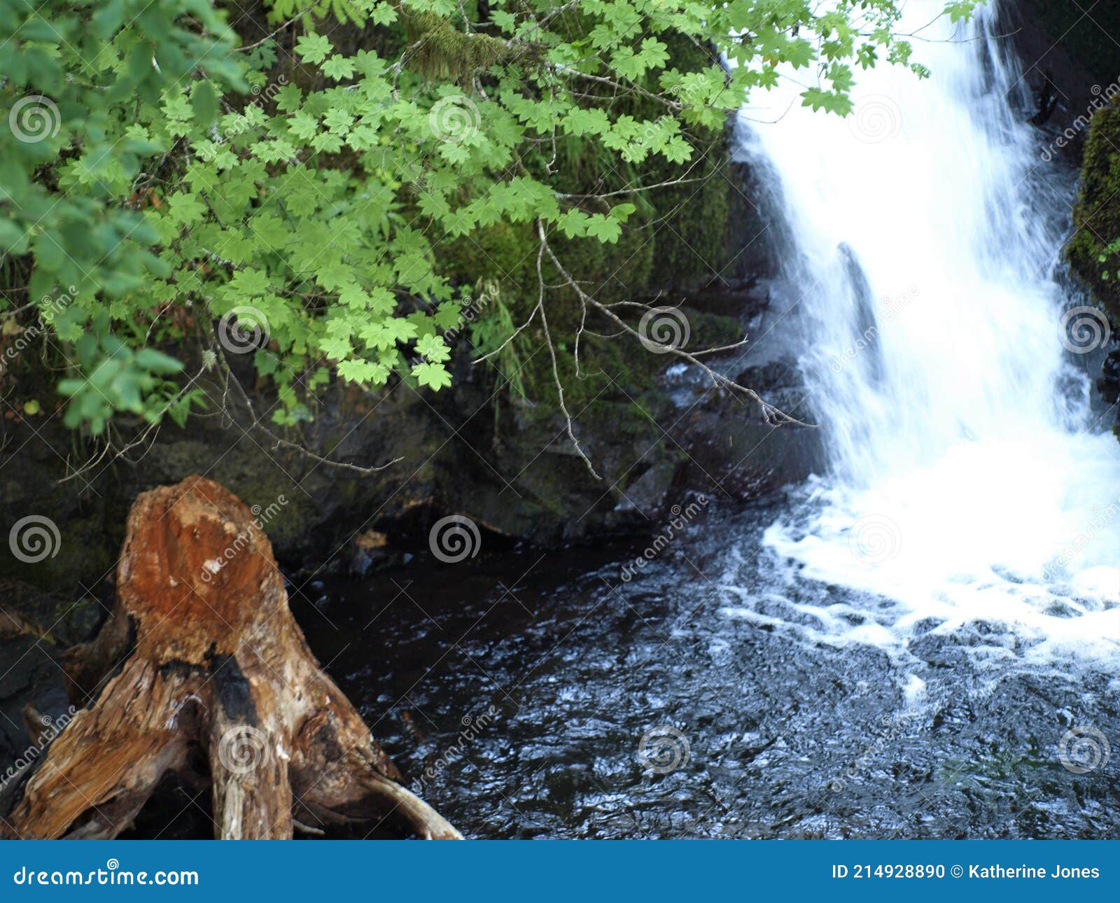 A Waterfall Flowing into a Pool with Greenery in the Backround Stock ...