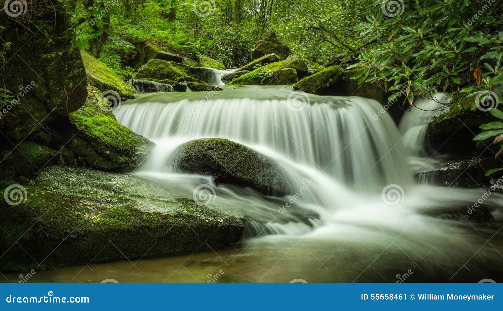 Waterfall in North Carolina Stock Image - Image of sunny, forest: 55658461