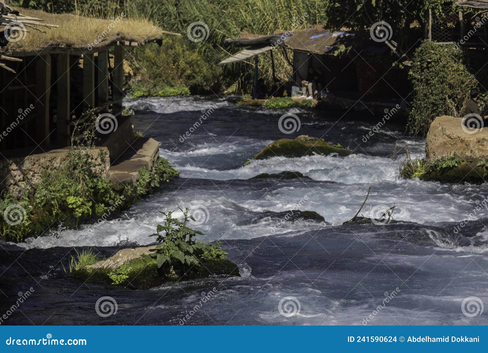 WATERFALL RIVER, MOROCCO editorial stock image. Image of forest - 241590624
