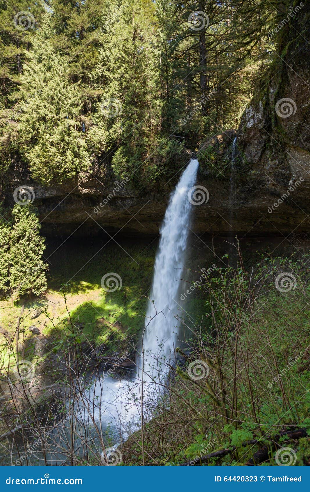 Waterfall over Cave stock image. Image of silver, hike - 64420323