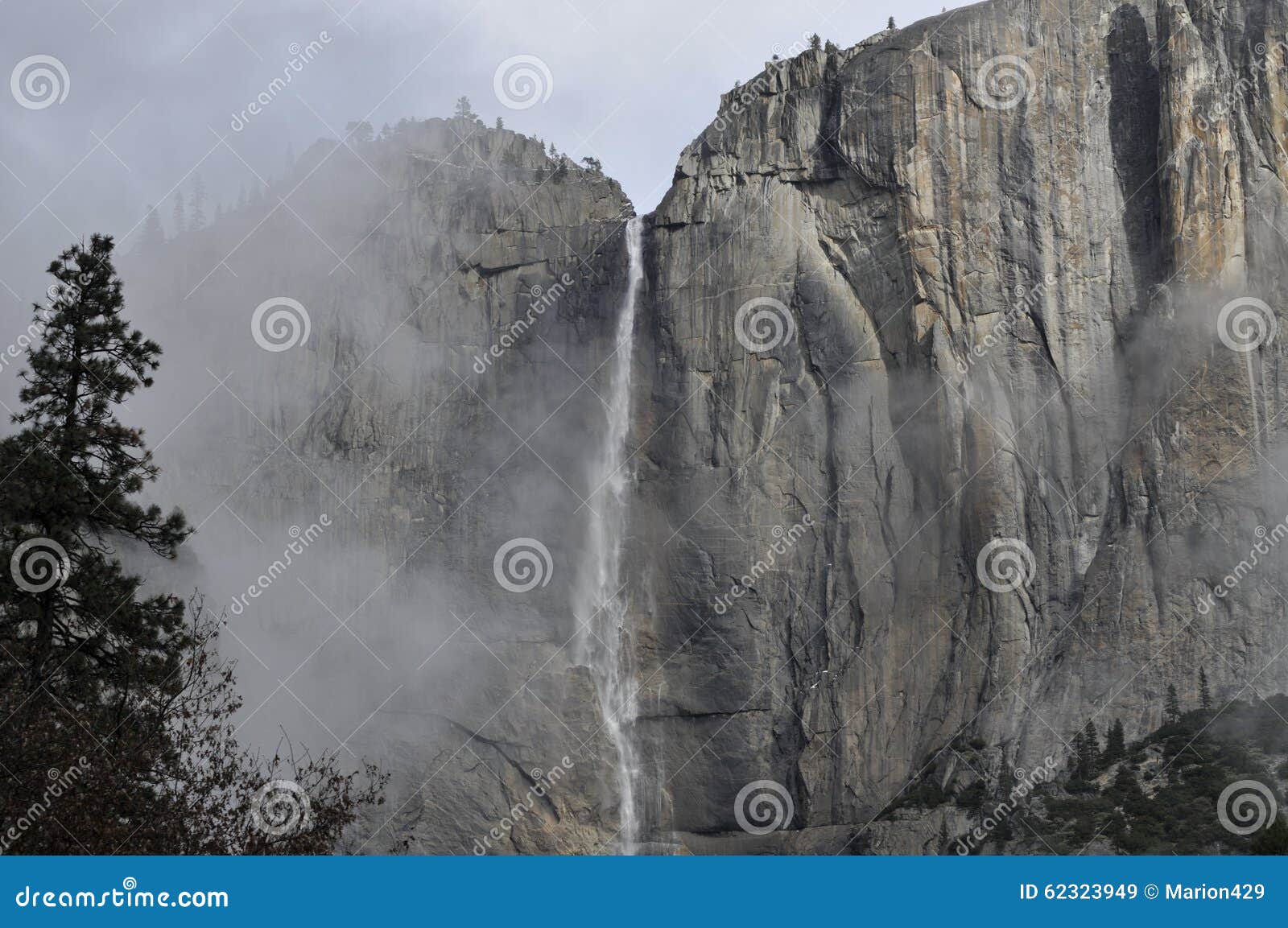 Waterfall over the edge stock image. Image of forest - 62323949