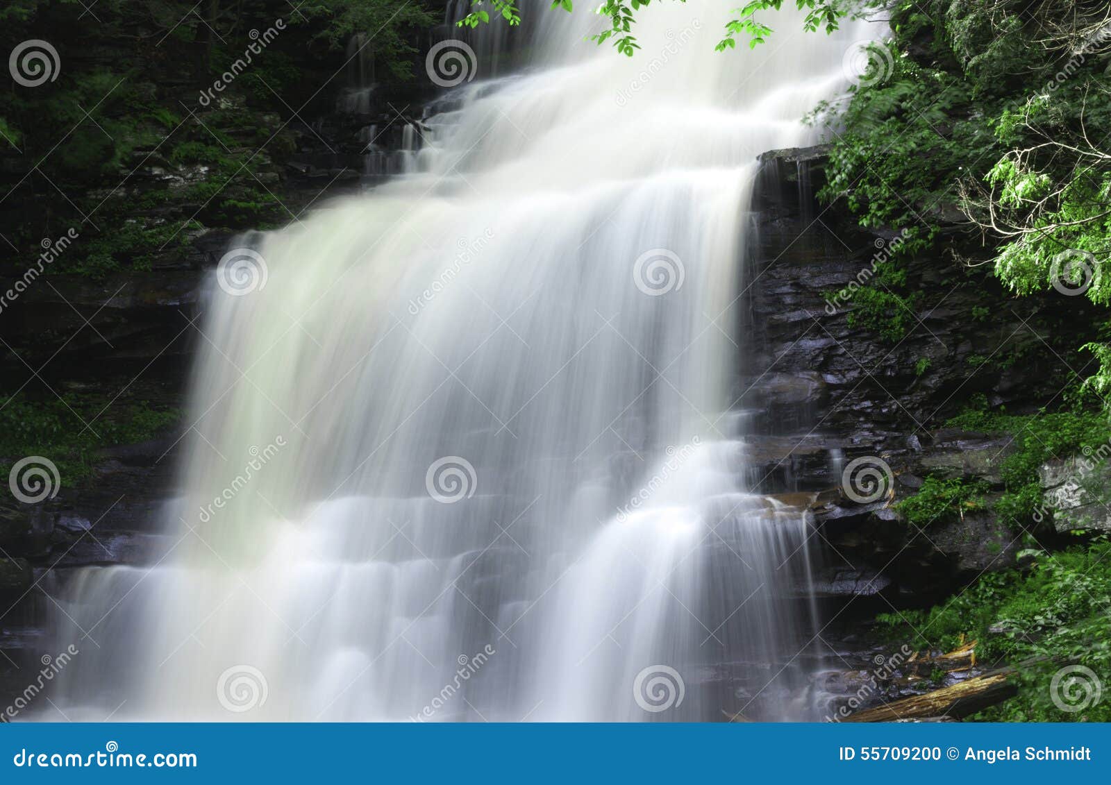 Waterfall Over the Mountain Stock Photo - Image of leaves, fern: 55709200