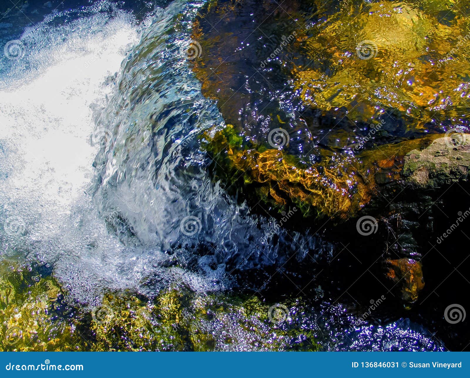 Waterfall Over Tree Root in a Stream in the Woods Stock Image - Image ...