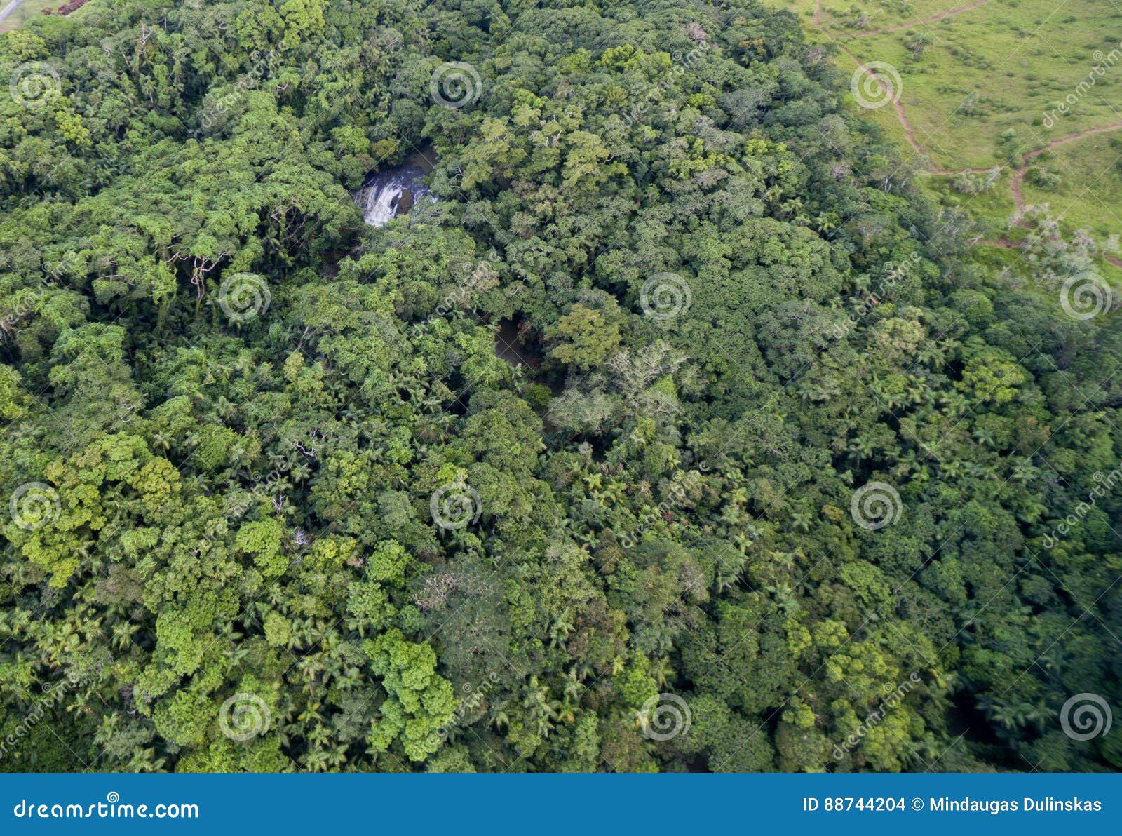 Waterfall in Palau Island. stock photo. Image of islands - 88744204