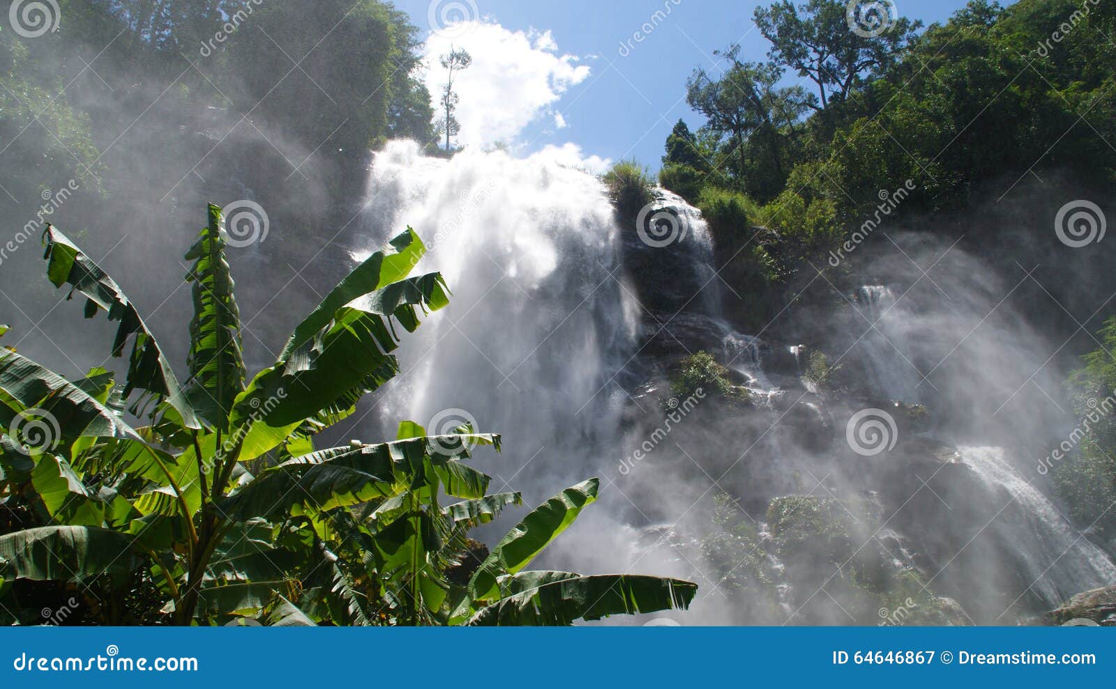 Waterfall with palm tree stock image. Image of asia, water - 64646867