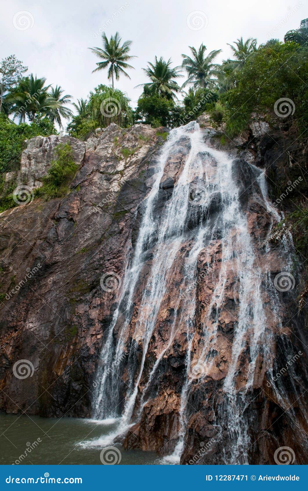 Waterfall with palm-trees stock image. Image of stream - 12287471