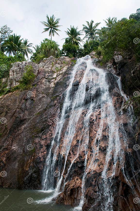 Waterfall with palm-trees stock image. Image of stream - 12287471