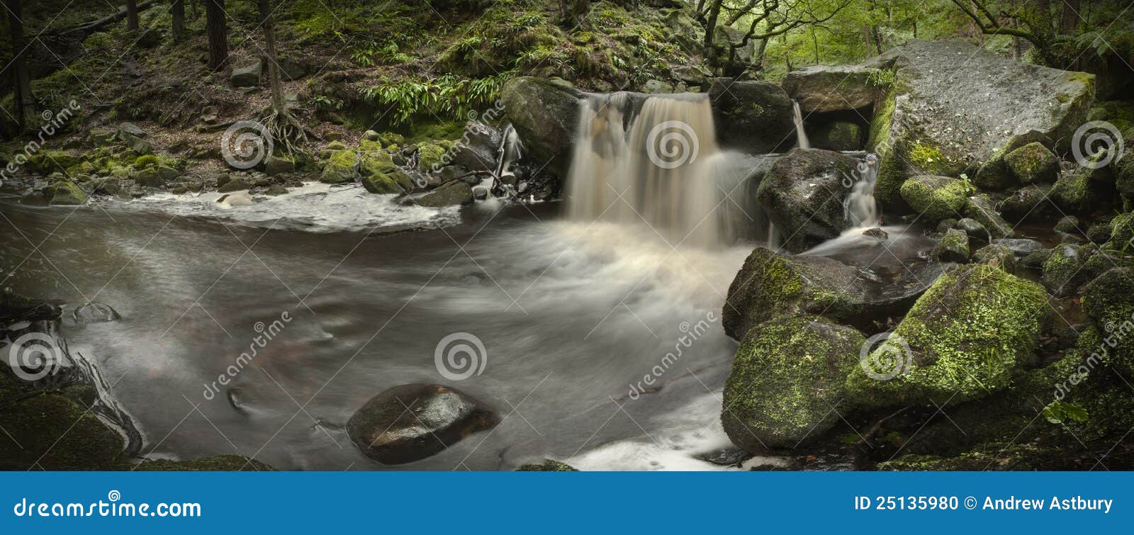 Waterfall Panorama stock photo. Image of nature, foliage - 25135980